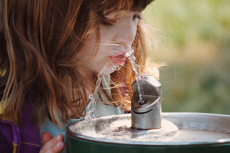 Developing an Action Plan for Lead-Free Drinking Water at your Facility